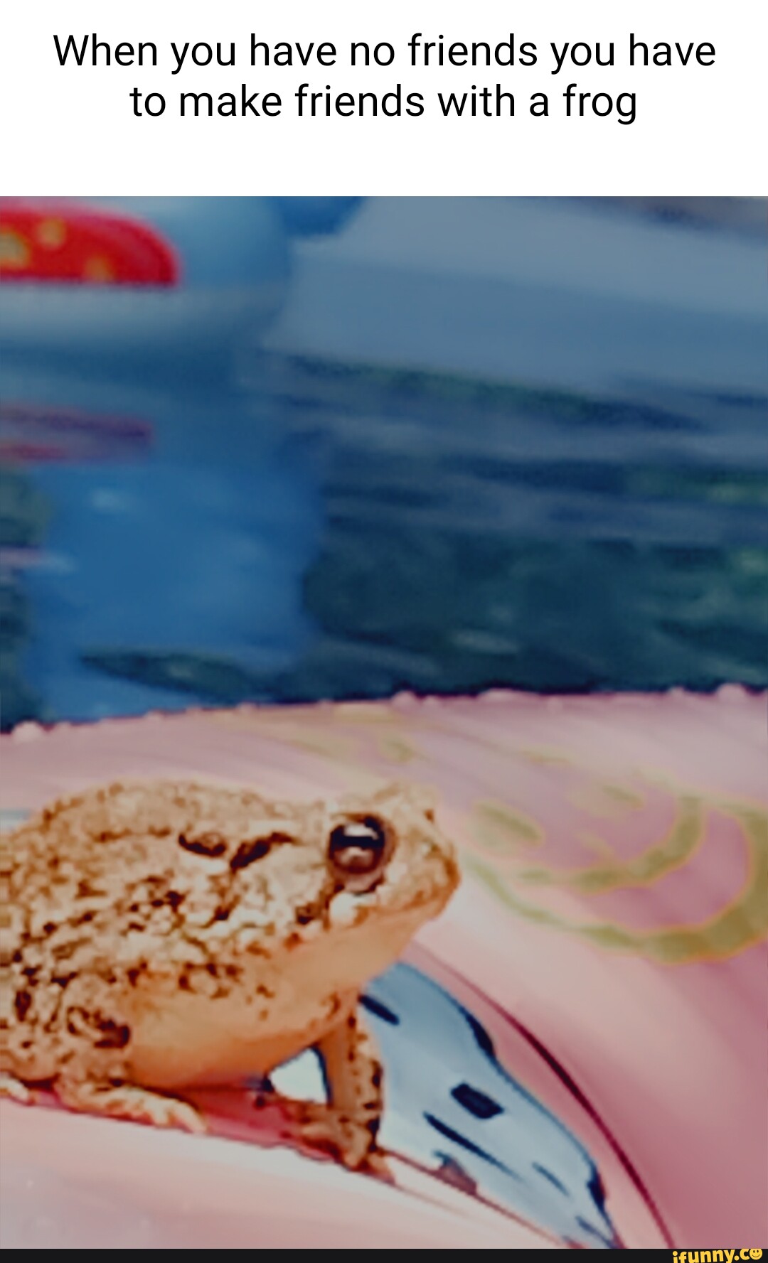 When you have no friends you have to make friends with a frog - iFunny