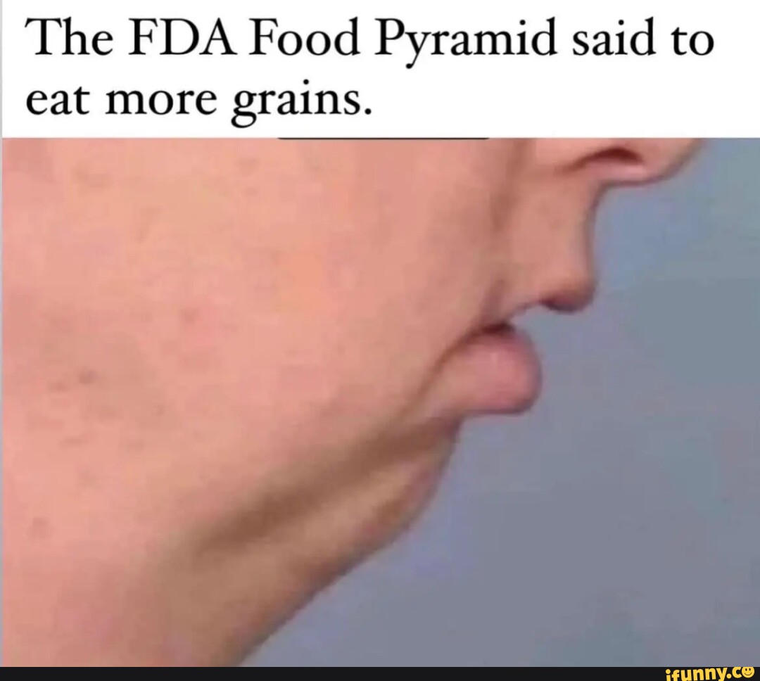 The FDA Food Pyramid said to eat more grains. - iFunny