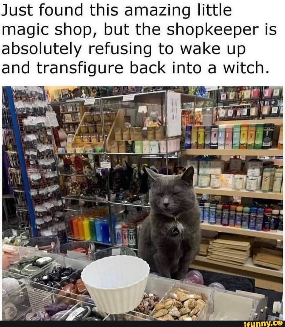 Shopkeeper memes. Best Collection of funny Shopkeeper pictures on iFunny