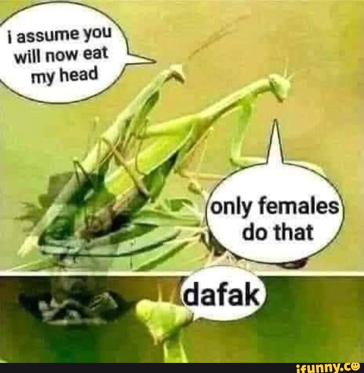 J assume you will now eat my head females - iFunny