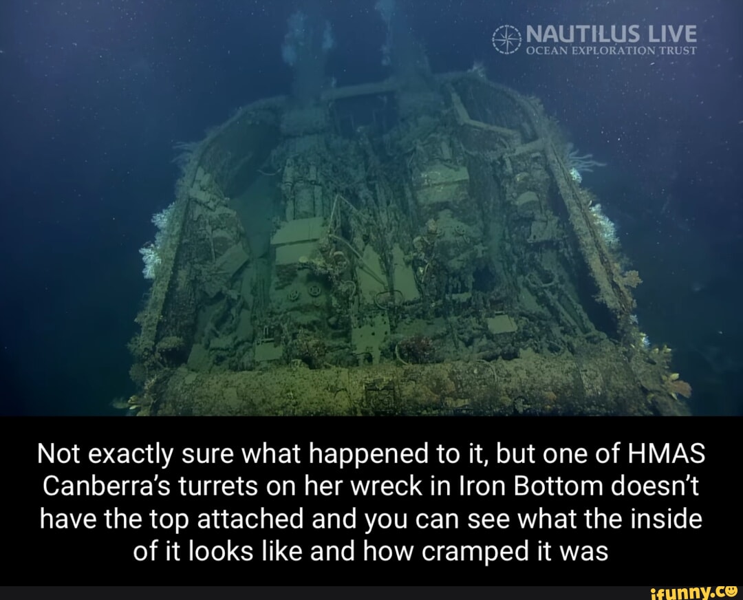 Canberra memes. Best Collection of funny Canberra pictures on iFunny