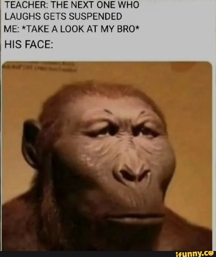 TEACHER: THE NEXT ONE WHO LAUGHS GETS SUSPENDED ME: *TAKE A LOOK AT MY ...