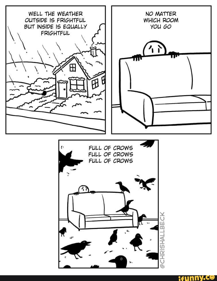 Crows memes. Best Collection of funny Crows pictures on iFunny