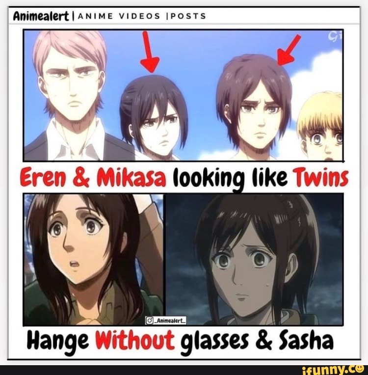 Animealert memes. Best Collection of funny Animealert pictures on iFunny
