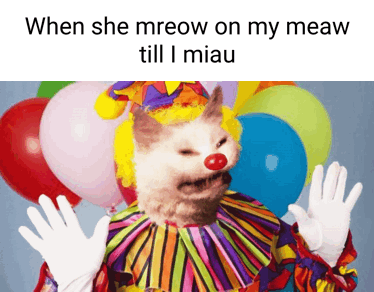Miau memes. Best Collection of funny Miau pictures on iFunny