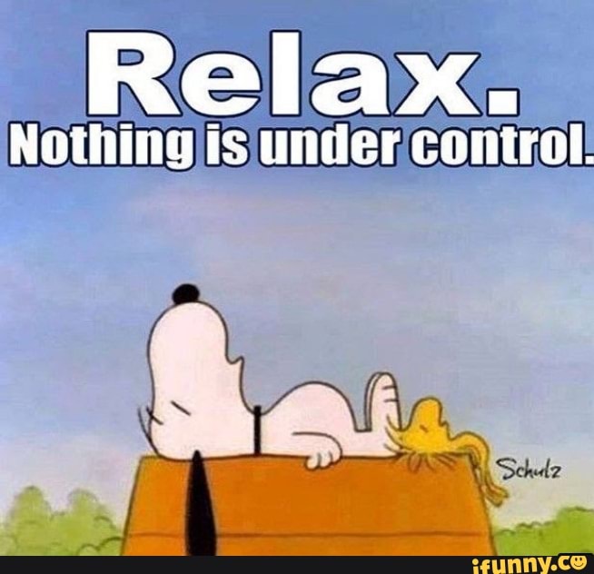 Relax. Nothing is under control. - iFunny