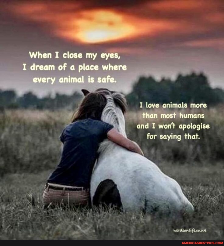 When I close my eyes, I dream of a place where every animal is safe ...