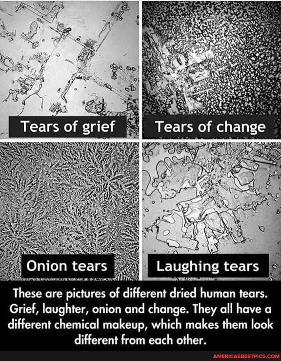 Tears of grief Onion tears Laughing tears These are pictures of ...