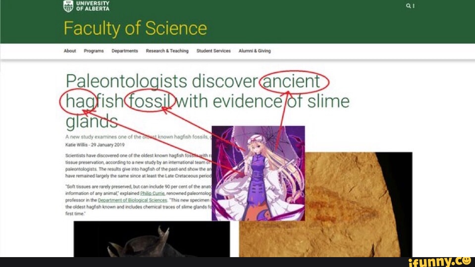 Faculty memes. Best Collection of funny Faculty pictures on iFunny