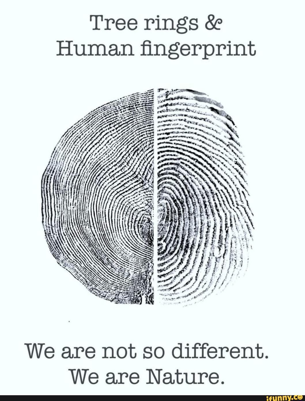 Fingerprint memes. Best Collection of funny Fingerprint pictures on iFunny