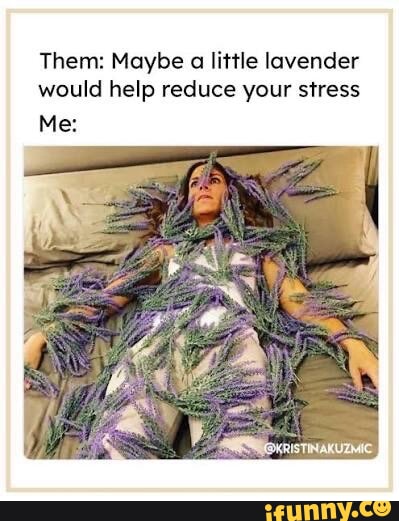 Lavender memes. Best Collection of funny Lavender pictures on iFunny