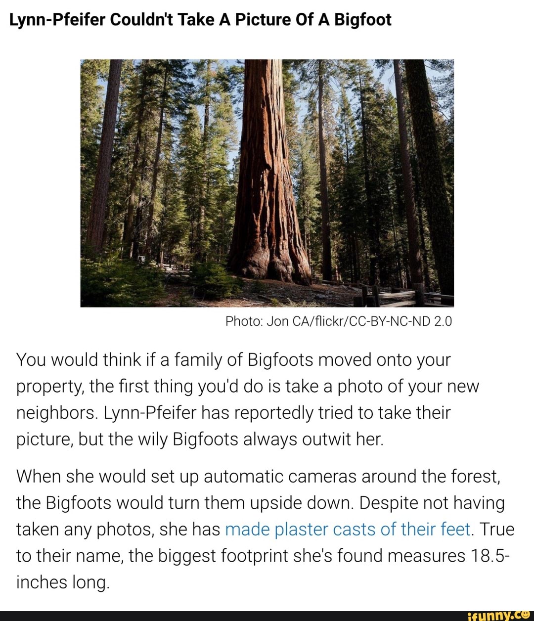 Pfeifer memes. Best Collection of funny Pfeifer pictures on iFunny