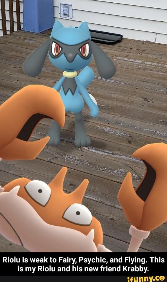 Riolu is weak to Fairy, Psychic, and Flying. This is my Riolu and his ...