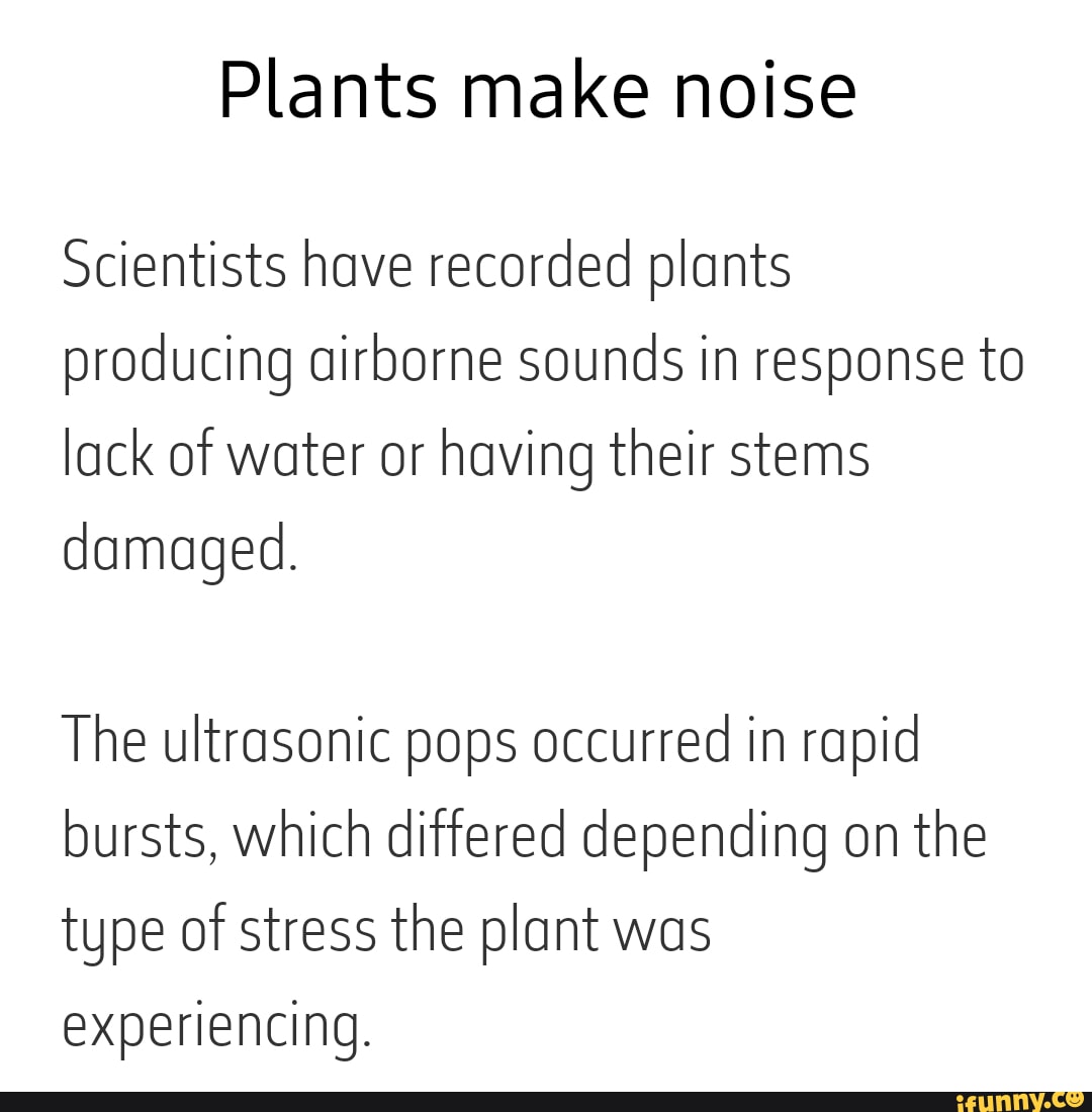 Ultrasonic memes. Best Collection of funny Ultrasonic pictures on iFunny