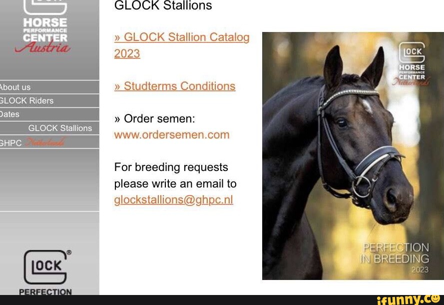GLOCK Stallions HORSE CENTER " GLOCK Stallion Catalog 2023 " Studterms ...
