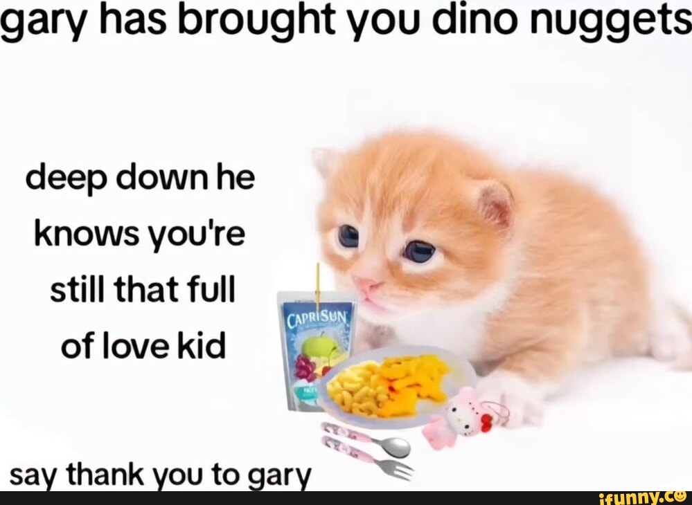 Gary has brought you dino nuggets deep down he knows you're still that ...