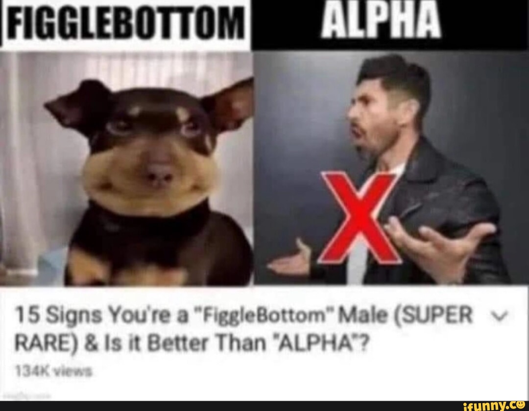 FIGGLEBOTTOM ALPHA 15 Signs You're a "FiggieBottom" Male (SUPER RARE ...