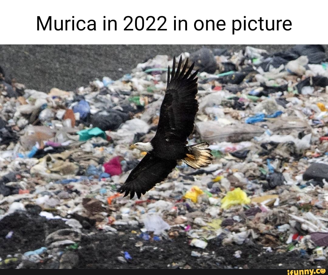 Murica memes. Best Collection of funny Murica pictures on iFunny