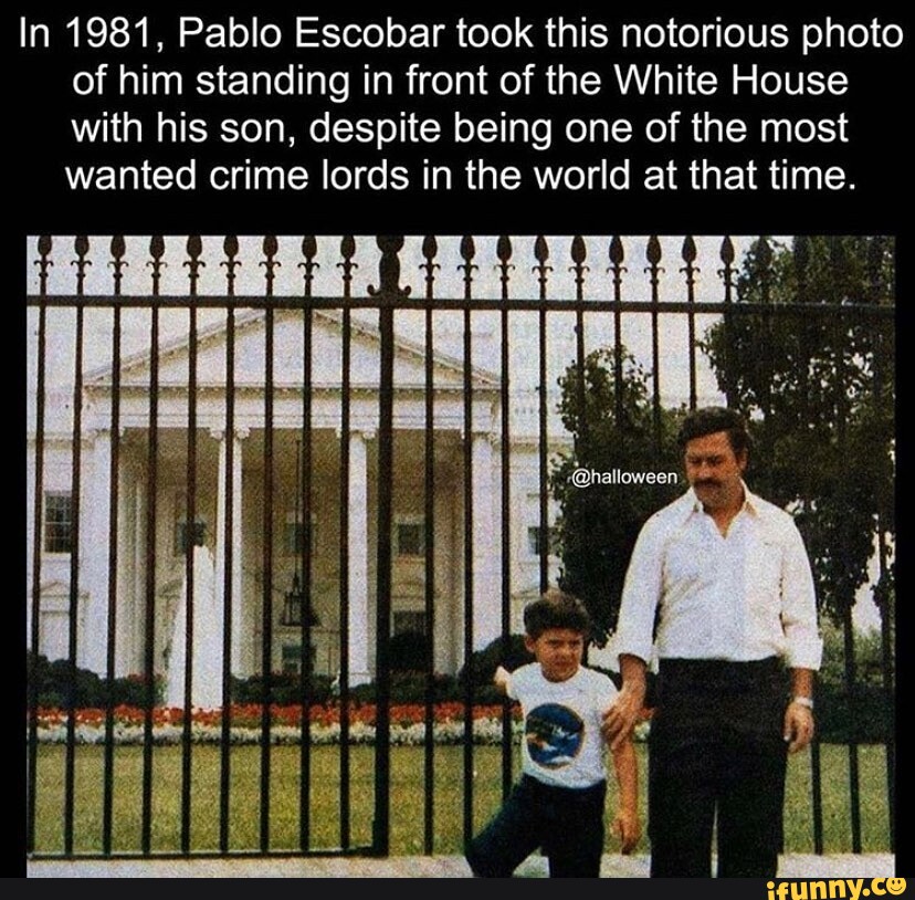 In 1981, Pablo Escobar took this notorious photo of him standing in ...