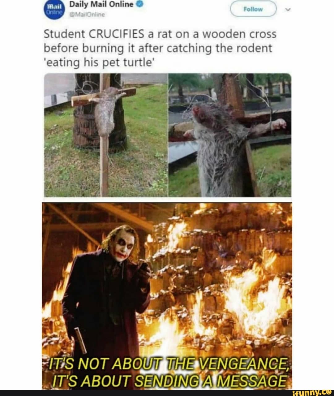 Daily Mail Online Student CRUCIFIES rat on a wooden cross before ...