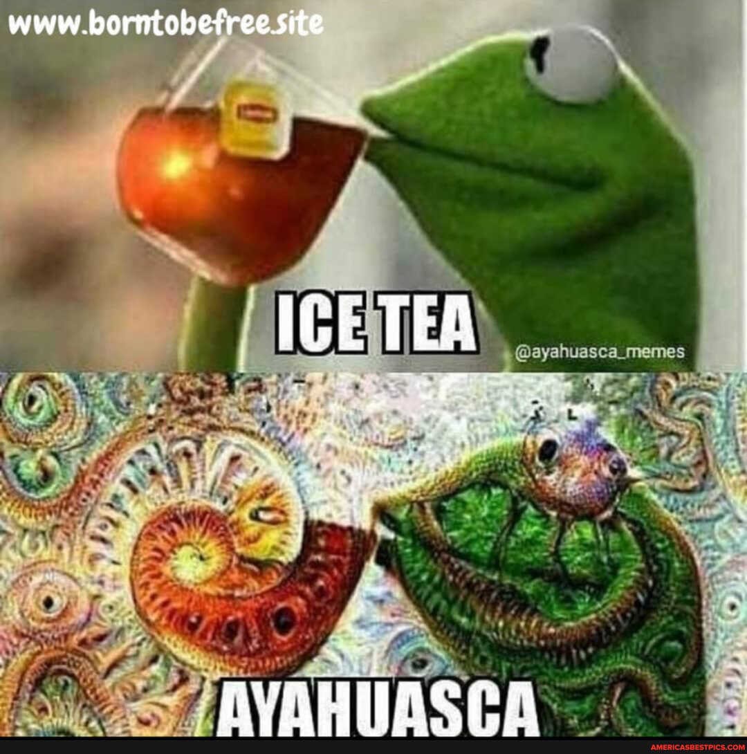 Www @ayahuasca_memes - America’s best pics and videos