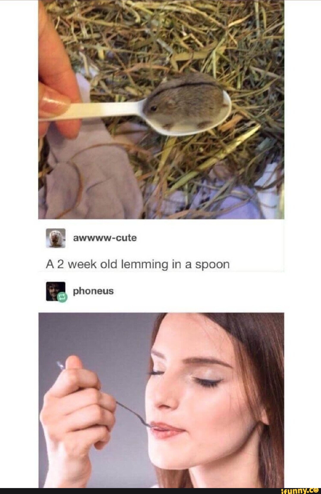 Lemming memes. Best Collection of funny Lemming pictures on iFunny