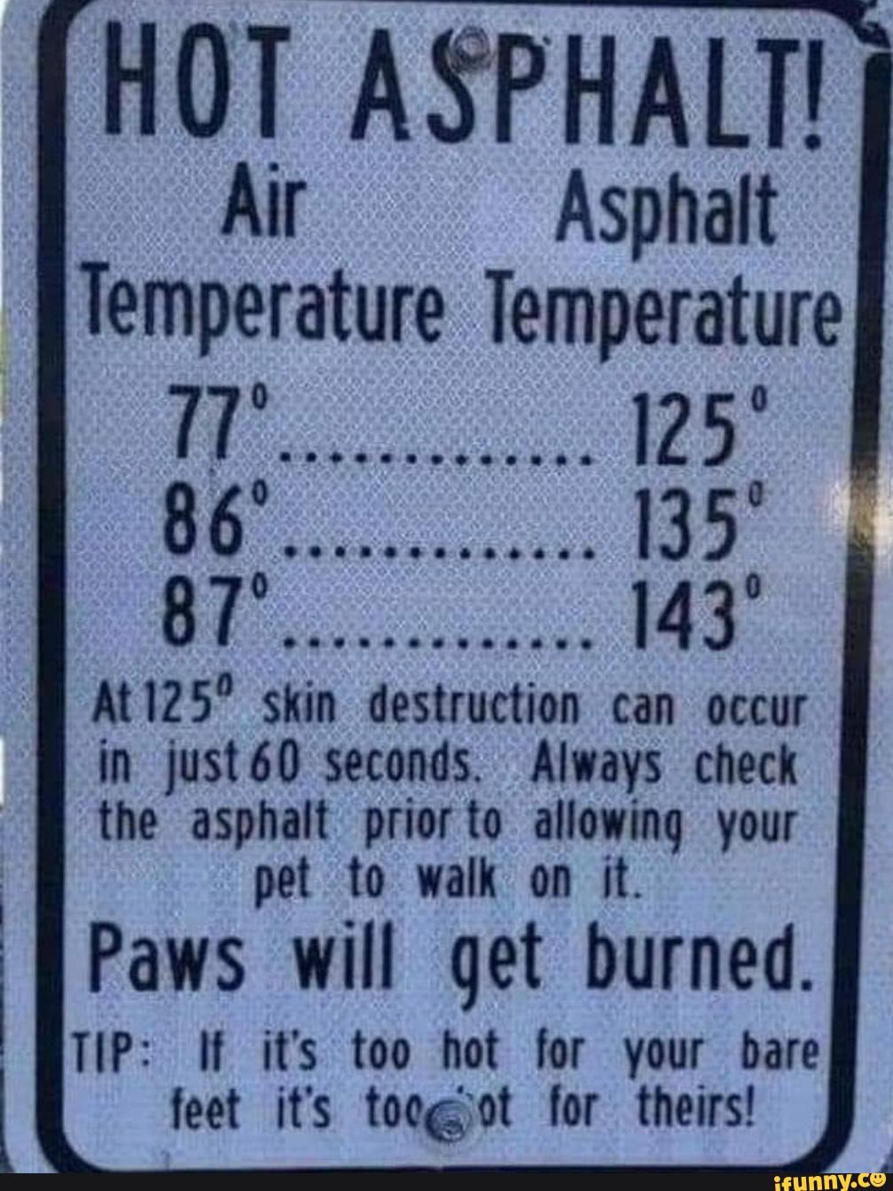 Take_care_of_our_furry_friends memes. Best Collection of funny Take ...