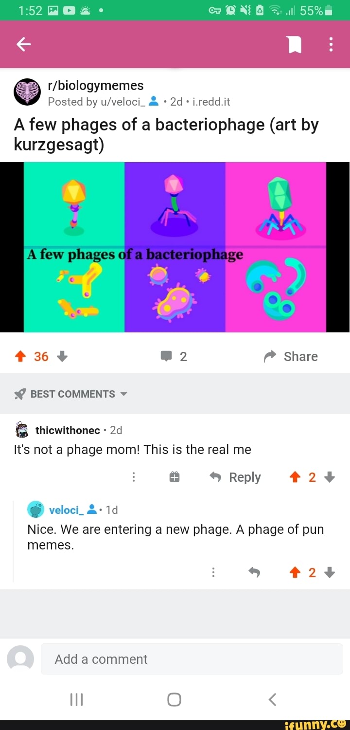 Bacteriophage memes. Best Collection of funny Bacteriophage pictures on ...