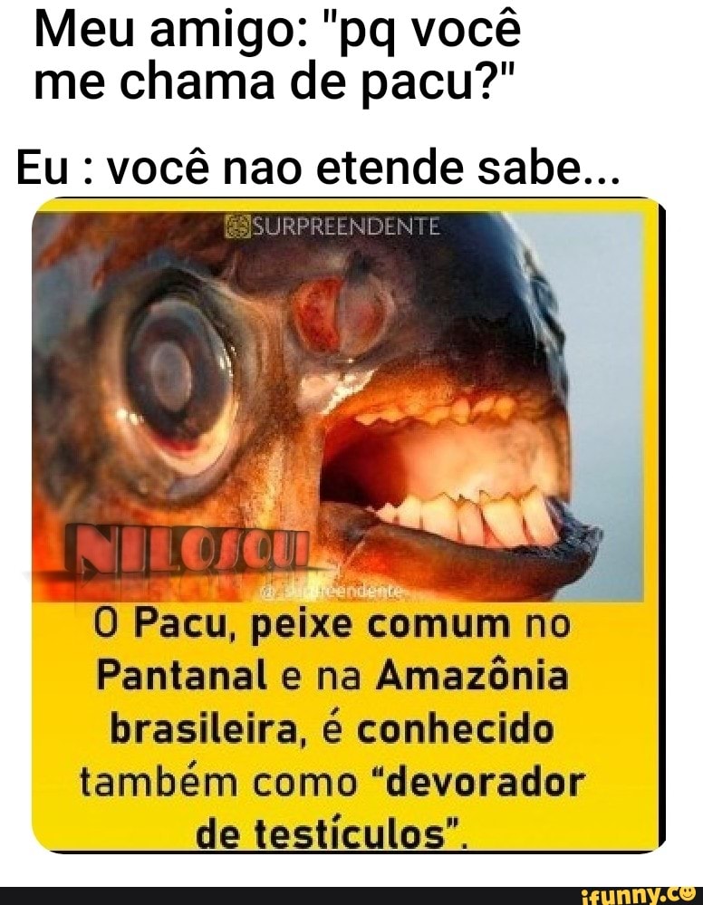 Retendo memes. Best Collection of funny Retendo pictures on iFunny Brazil