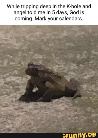 Tripping memes. Best Collection of funny Tripping pictures on iFunny