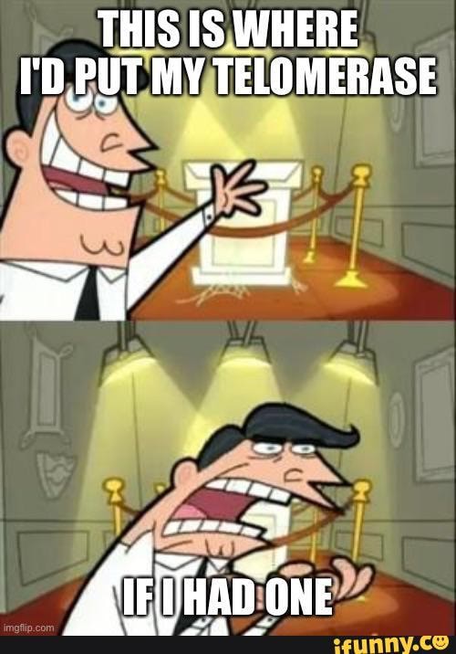 Telomerase memes. Best Collection of funny Telomerase pictures on iFunny