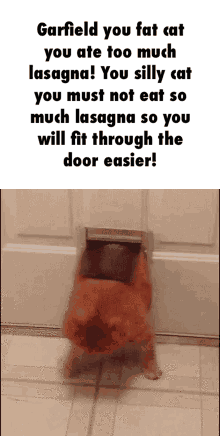 Garftopia memes. Best Collection of funny Garftopia pictures on iFunny