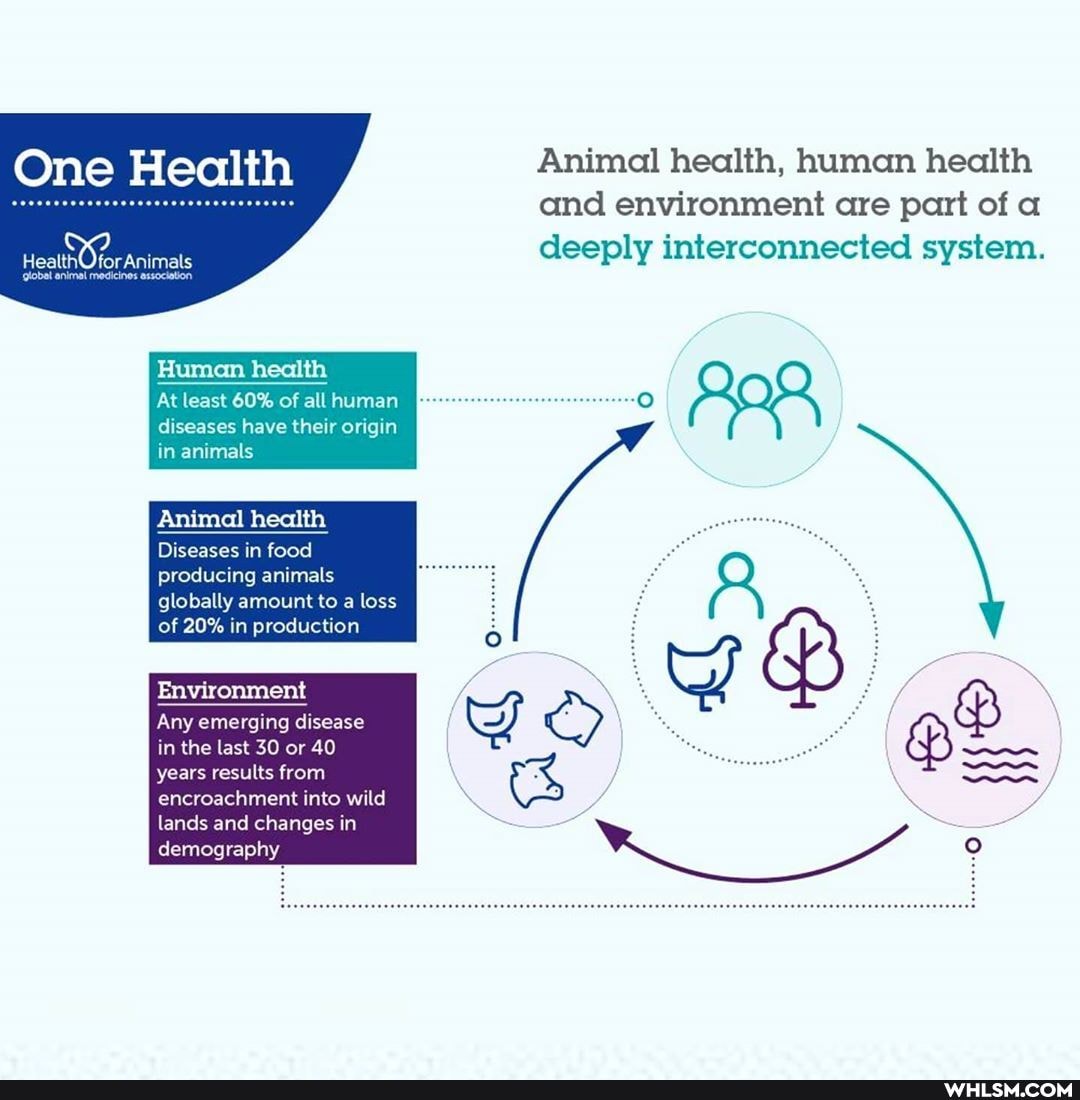 One Health Heat tor Animals 'dobel animal medicines Human health At ...