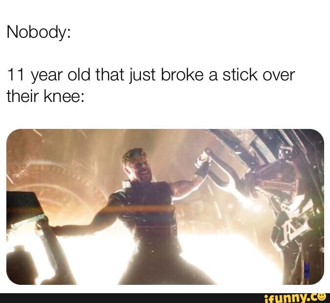 Nobody: 11 year old that just broke a stick over their knee: - iFunny