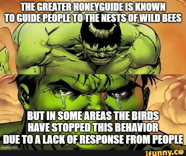 Behavior memes. Best Collection of funny Behavior pictures on iFunny