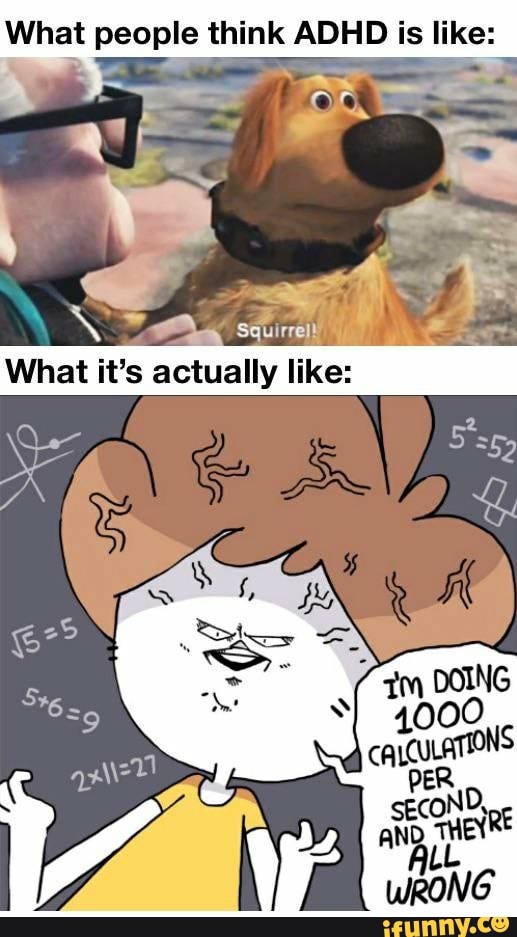 What people think ADHD is like: Squirrel! What it's actually like: - iFunny