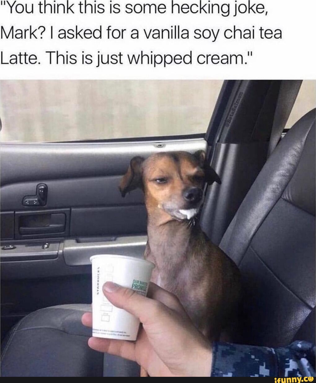 Necking memes. Best Collection of funny Necking pictures on iFunny