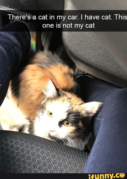 This Korean Statue Depicts A Jesus So Jacked It Looks Like His Last ...