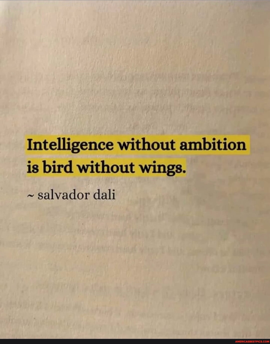 Intelligence without ambition is bird without wings. ~ salvador dali ...