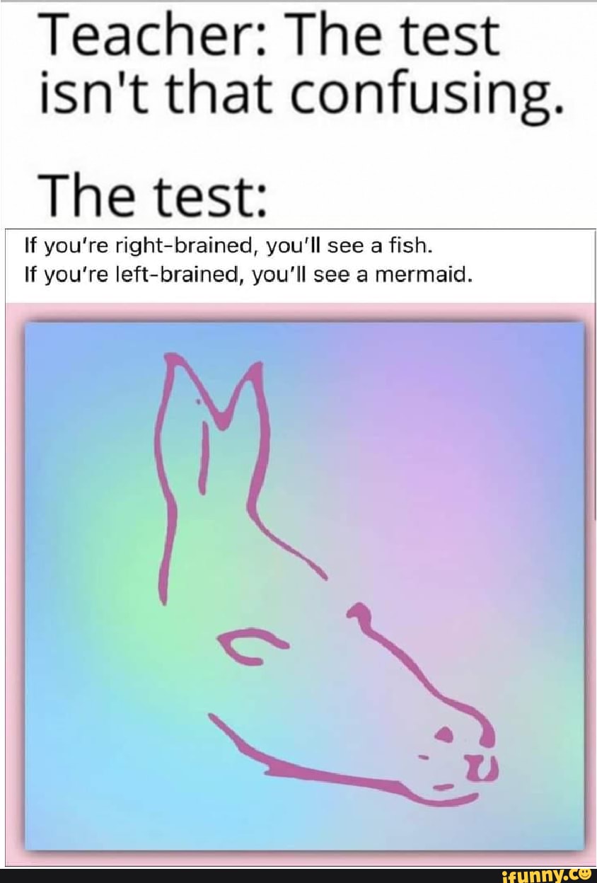 Teacher: The test isn't that confusing. The test: If you're right ...