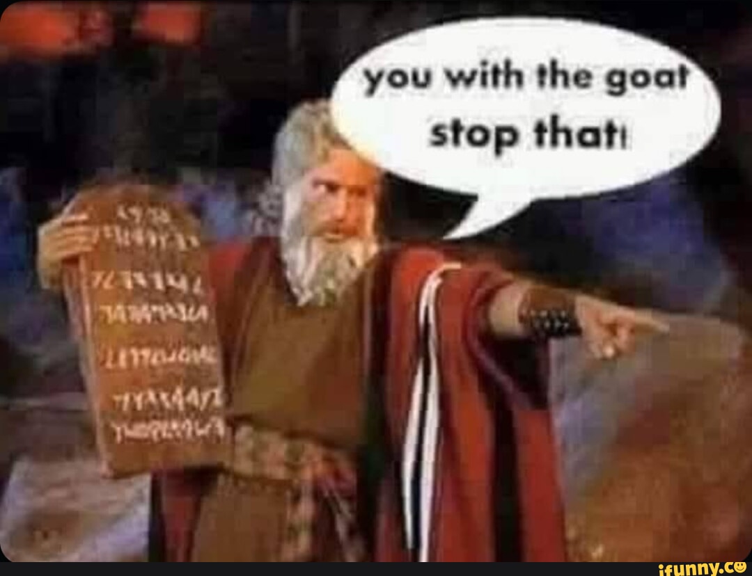 You with the goat stop that: - iFunny