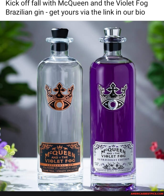 Kick off all with McQueen and the Violet Fog Brazilian gin - get yours ...