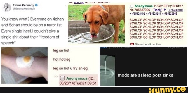 Schlop memes. Best Collection of funny Schlop pictures on iFunny