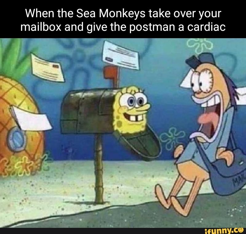 When the Sea Monkeys take over your mailbox and give the postman a ...