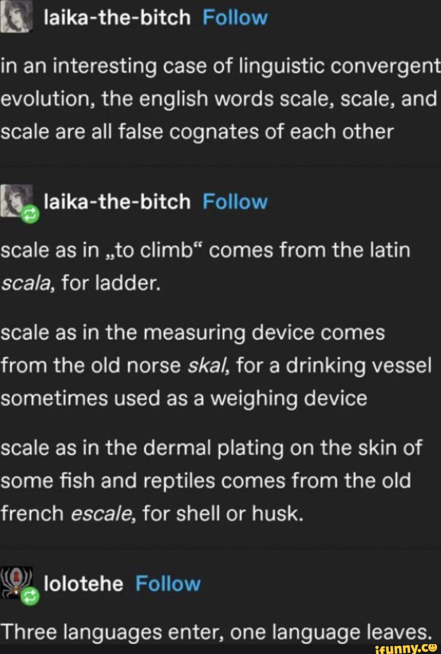 Scala memes. Best Collection of funny Scala pictures on iFunny