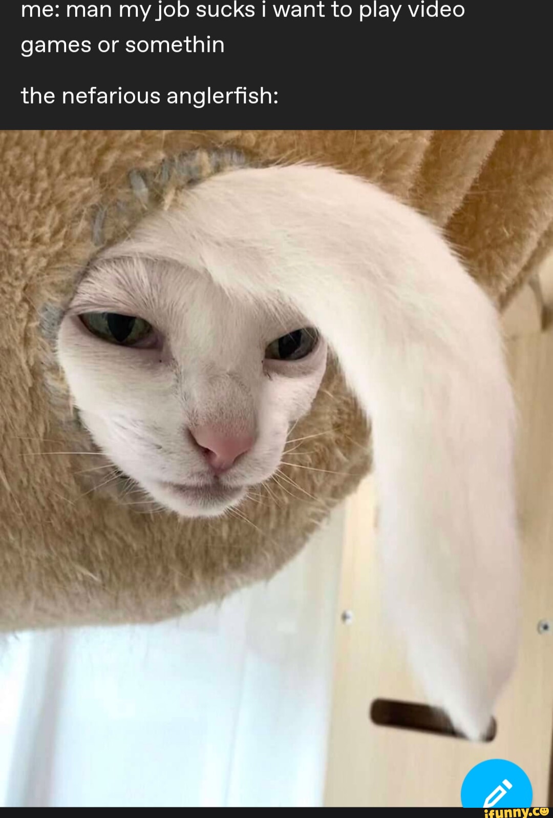 Me: man my job sucks I want to play video games or somethin the ...