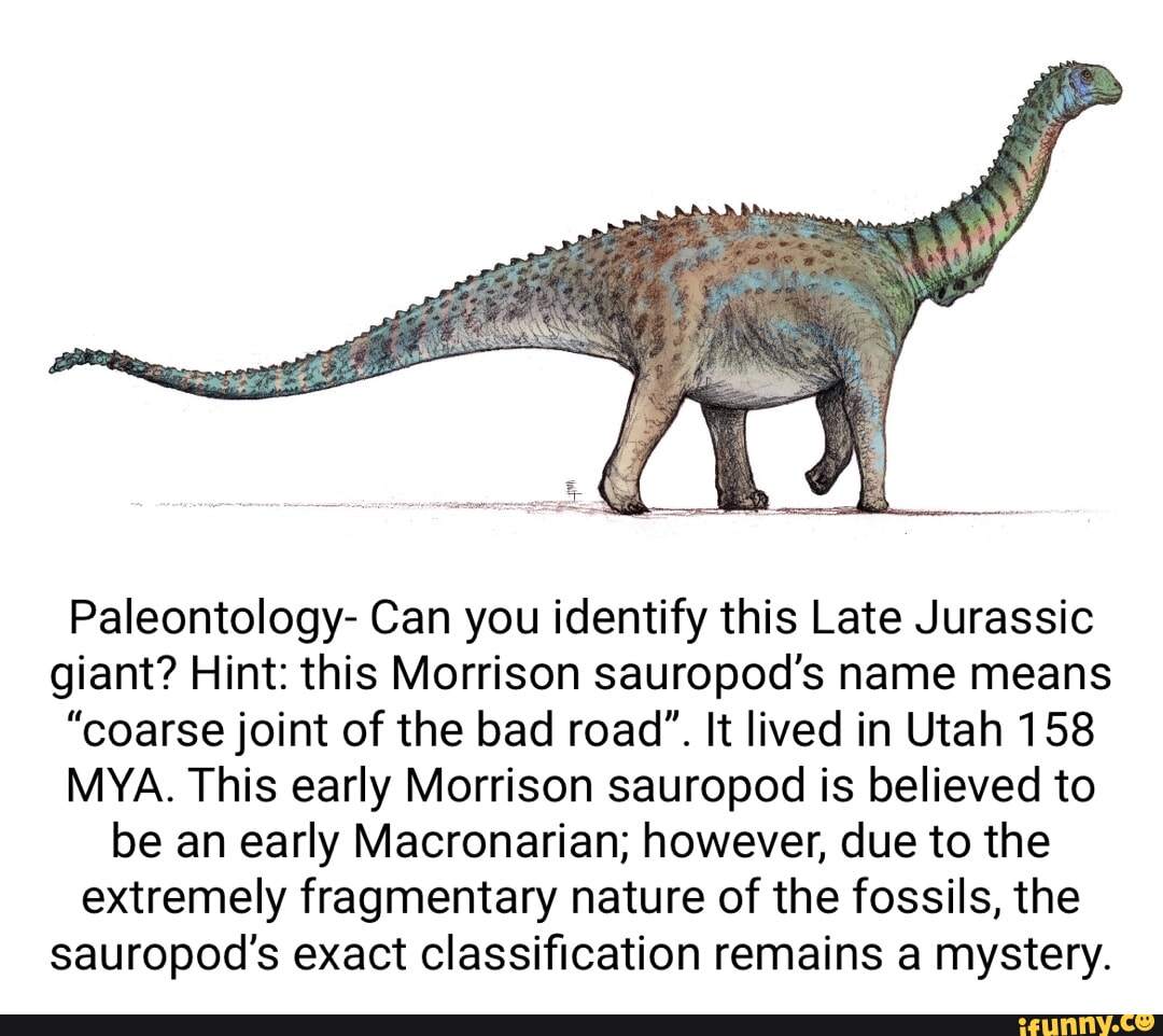 Paleontology- Can you identify this Late Jurassic giant? Hint: this ...