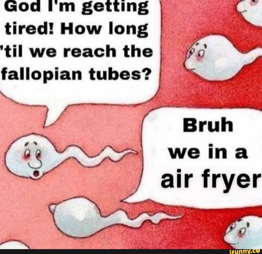 Weina memes. Best Collection of funny Weina pictures on iFunny