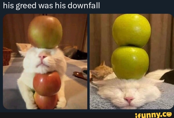 His greed was his downfall - iFunny