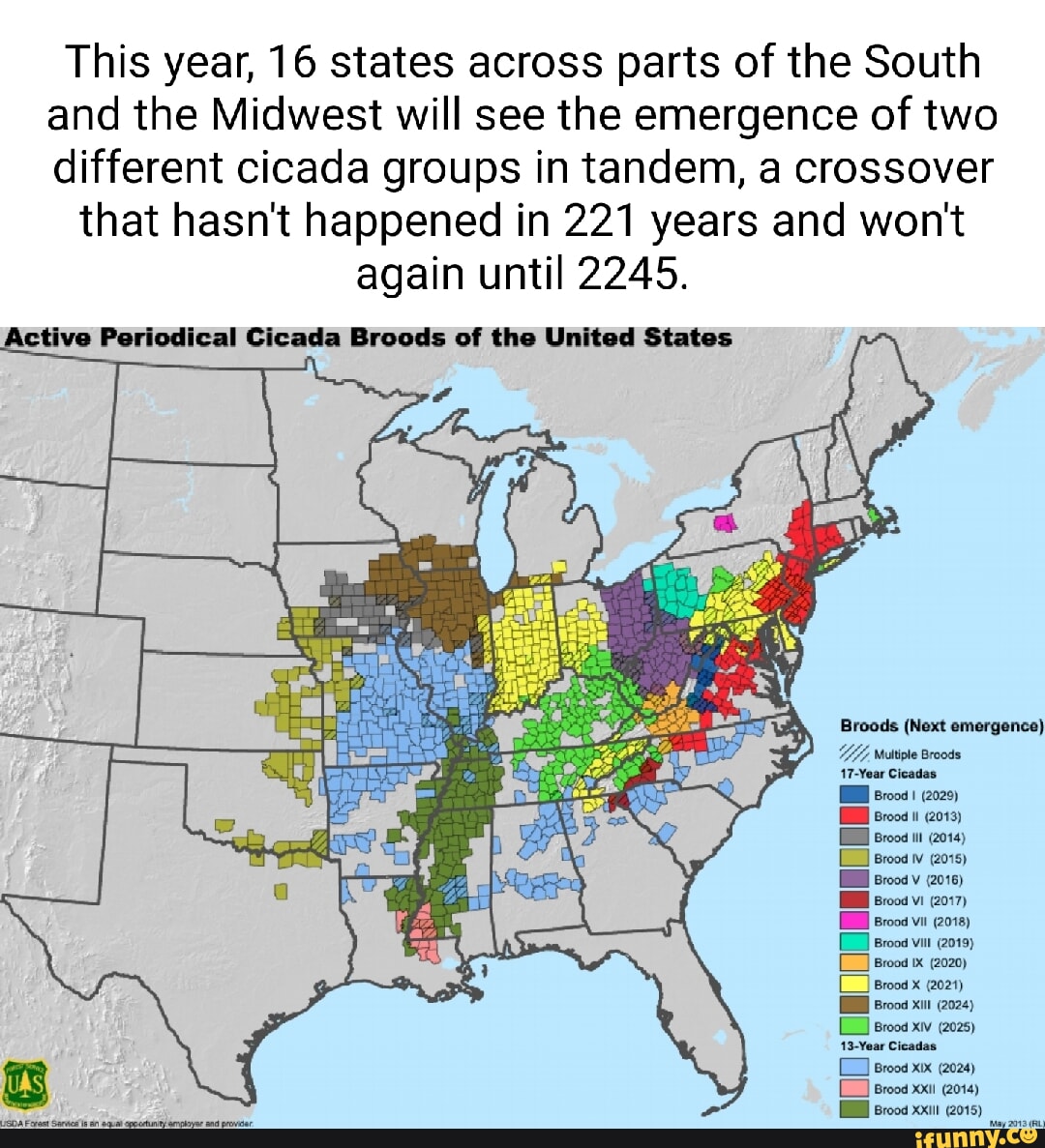 Cicada memes. Best Collection of funny Cicada pictures on iFunny